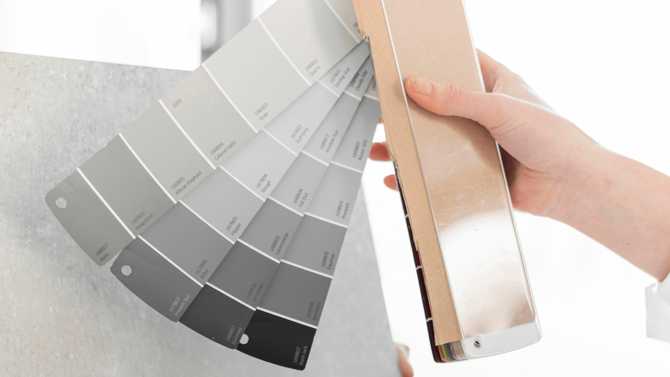 Choosing the Perfect Color Palette for Your Home – Momo Lifestyle